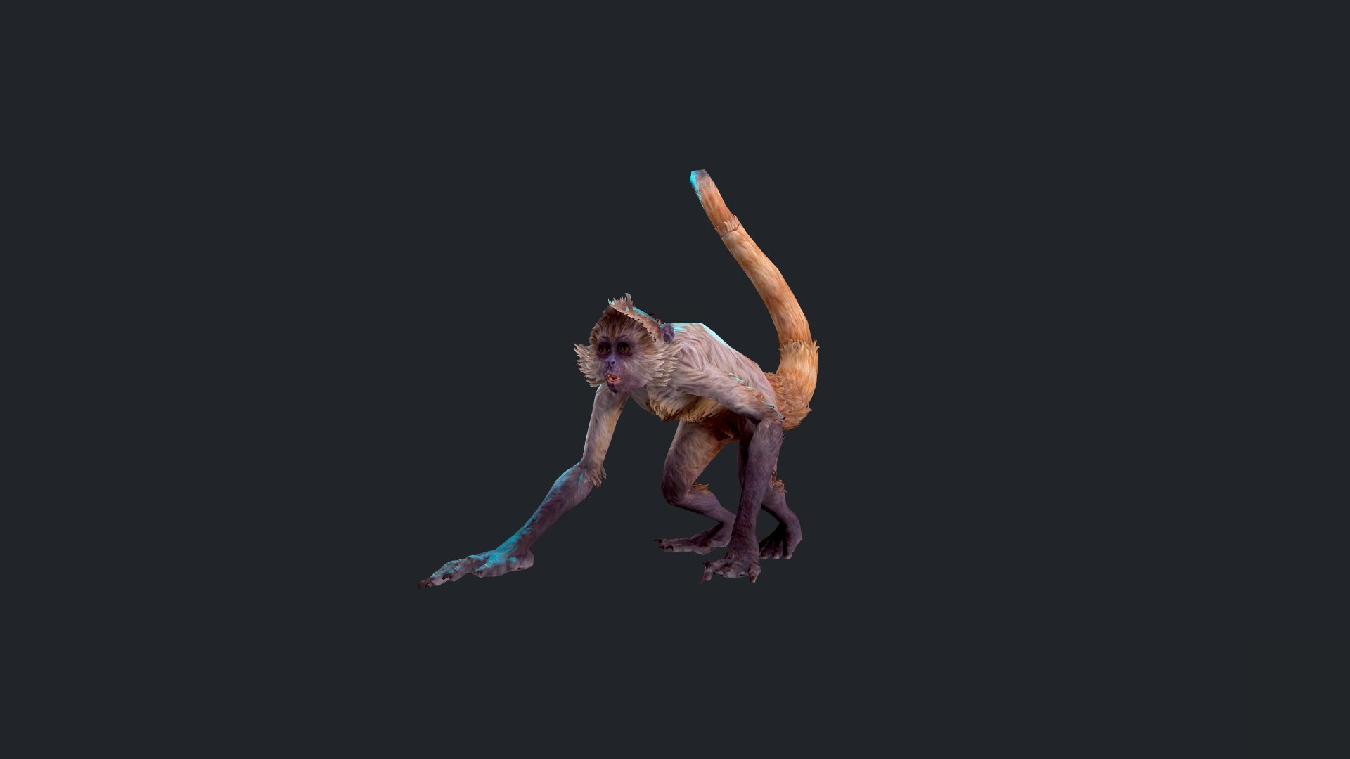 3D Monkey Character Model - TurboSquid 2004197
