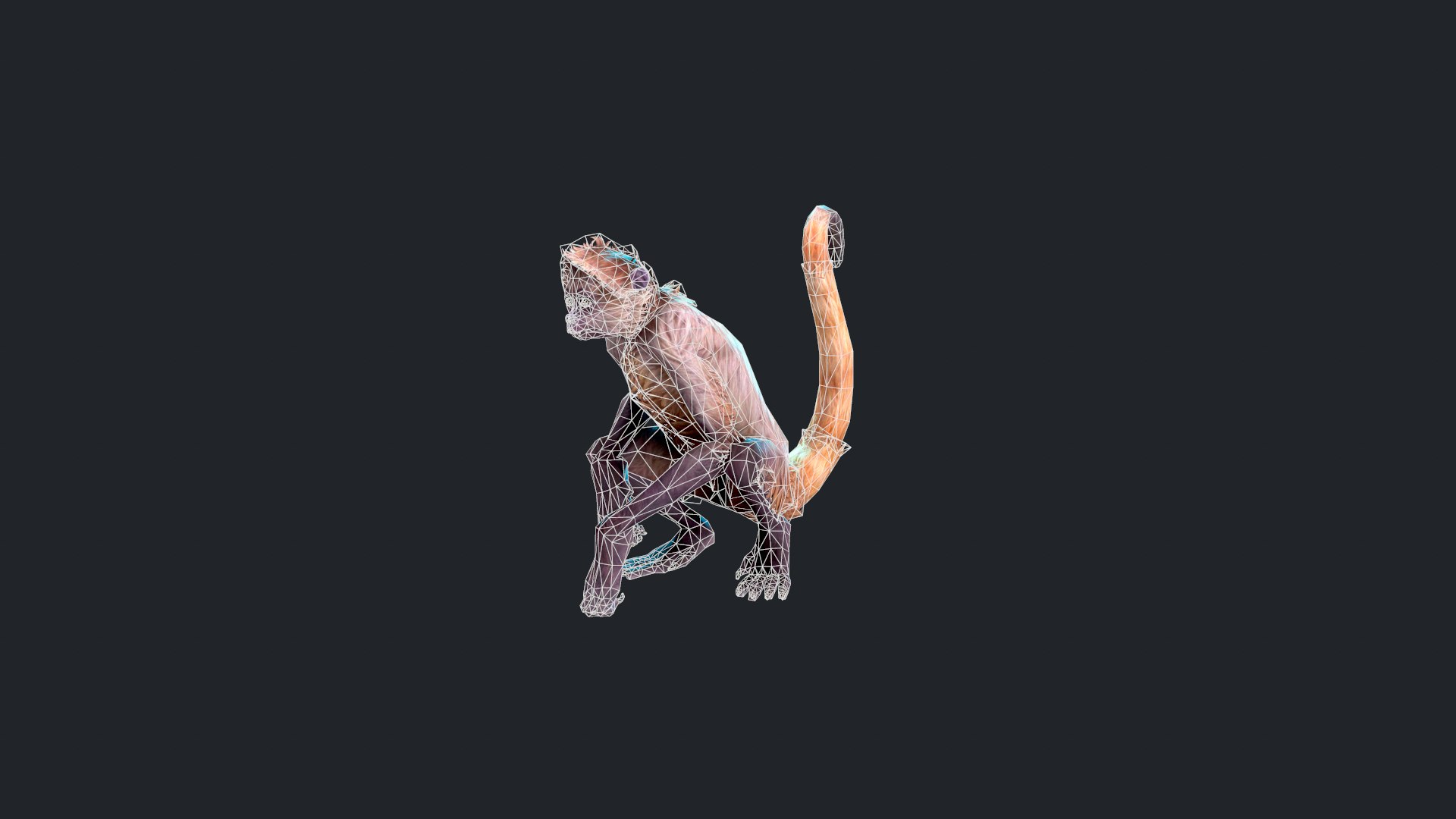 3D Monkey Character Model - TurboSquid 2004197