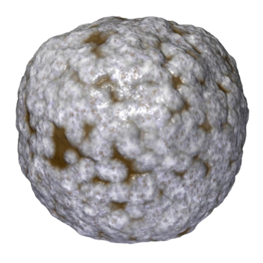 3d Model Fat Cell
