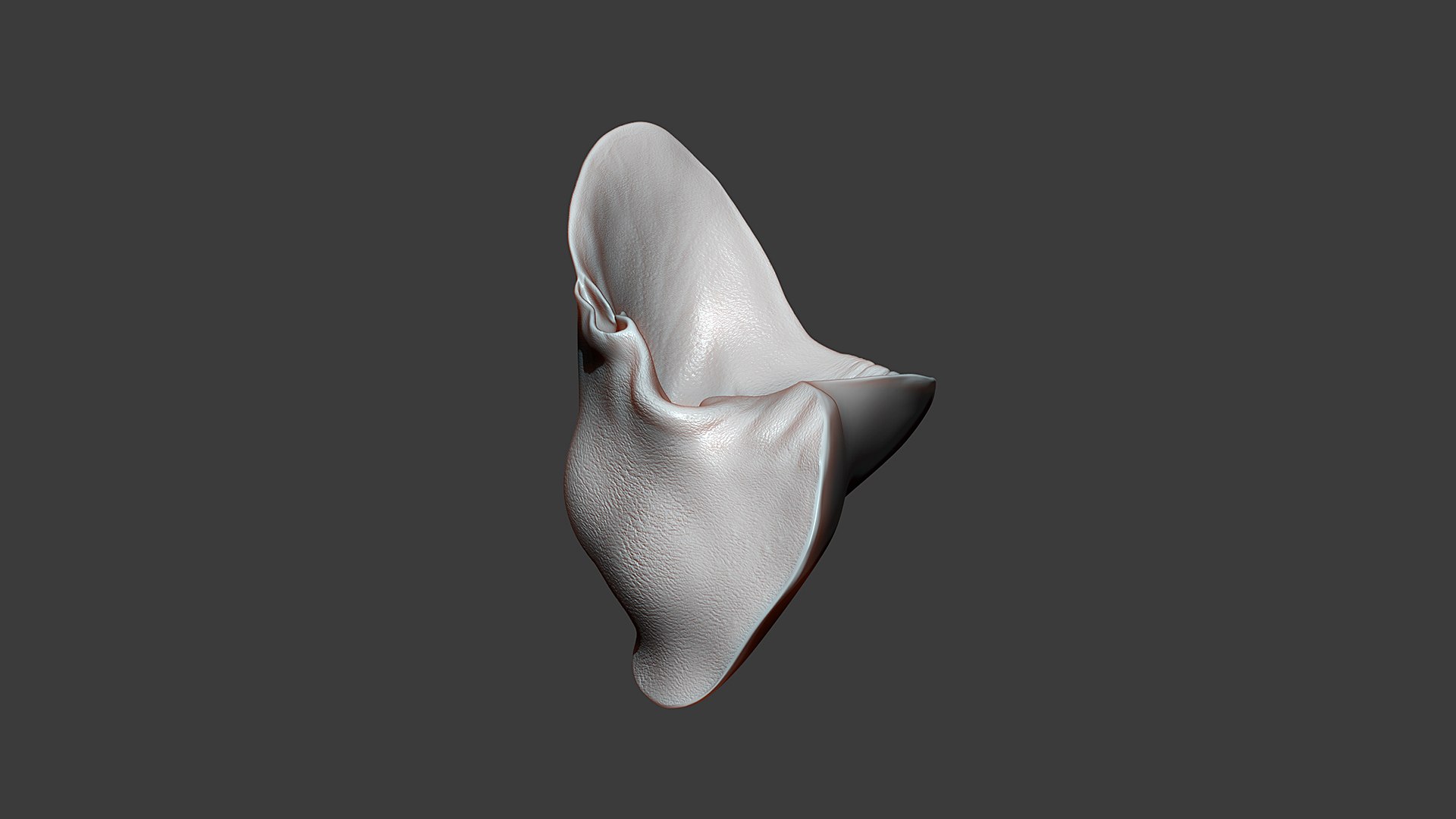 3D Cat Ear Highpoly Sculpt - TurboSquid 1804950