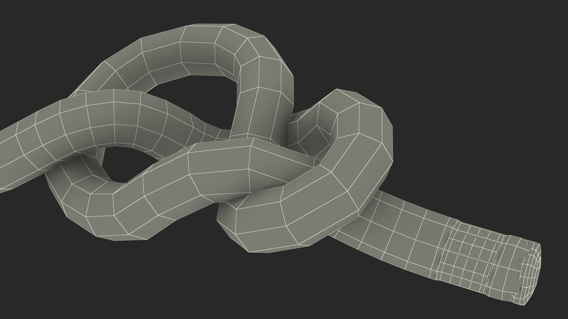 Figure 8 Bend Rope 3D Model - TurboSquid 1650706