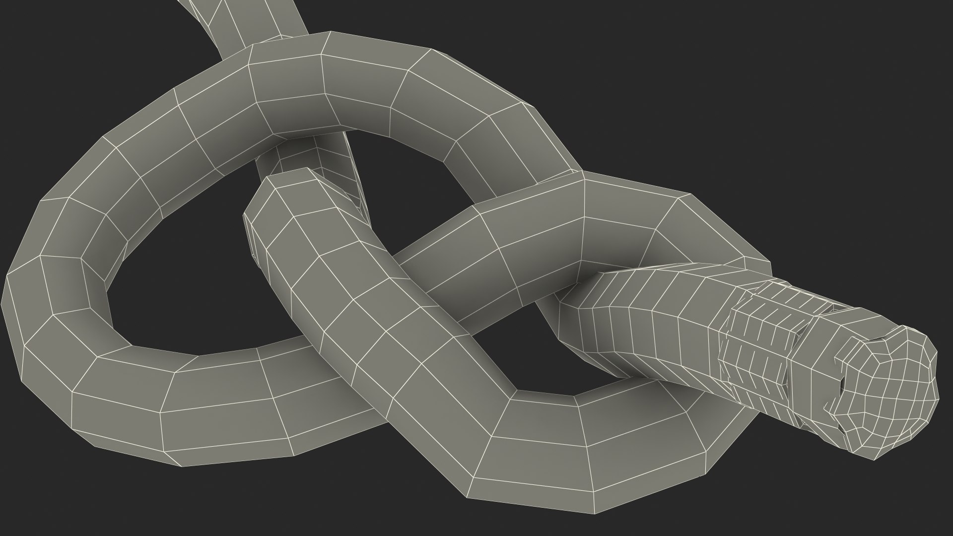 Figure 8 Bend Rope 3D Model - TurboSquid 1650706