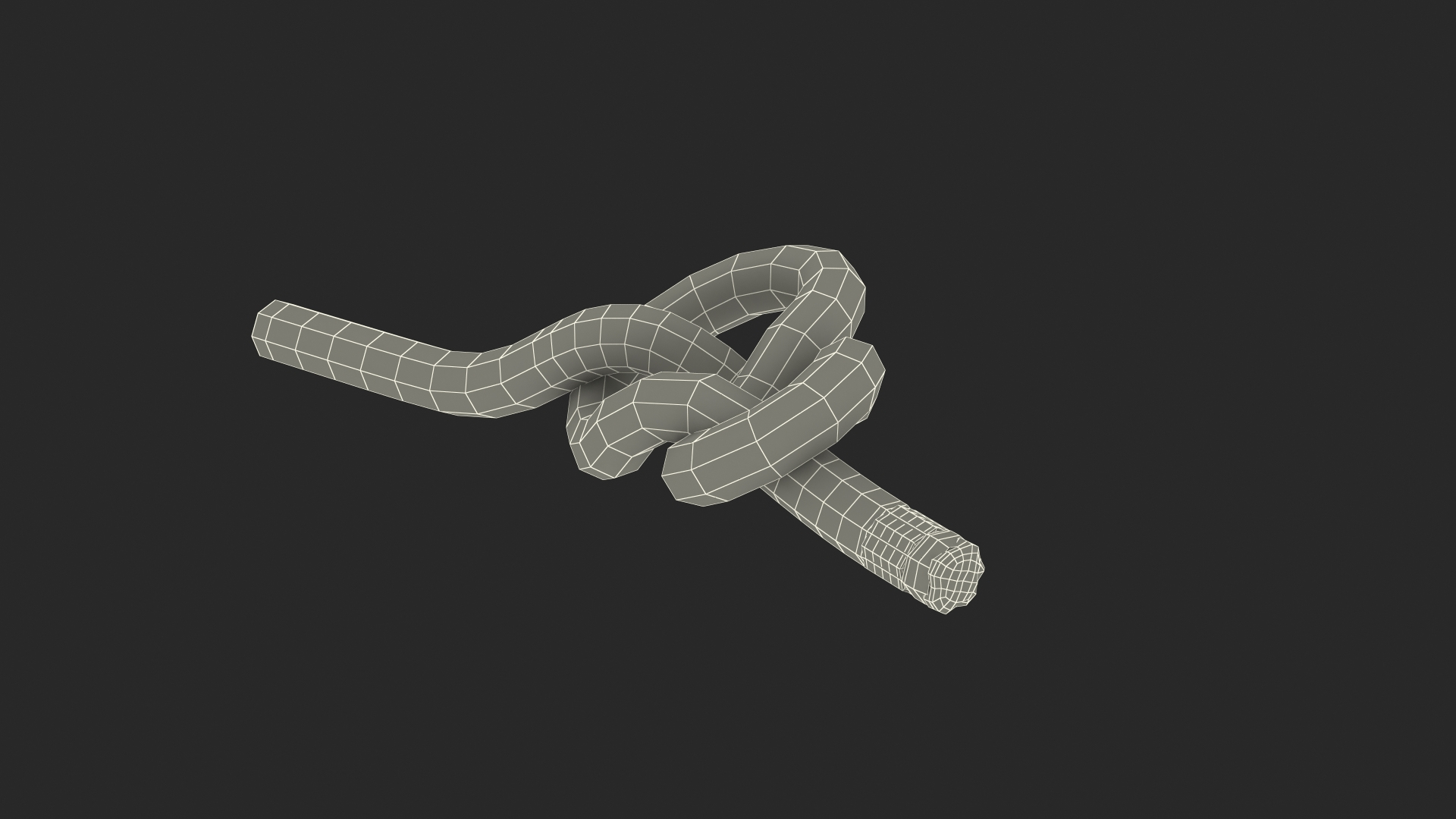 Figure 8 Bend Rope 3D Model - TurboSquid 1650706