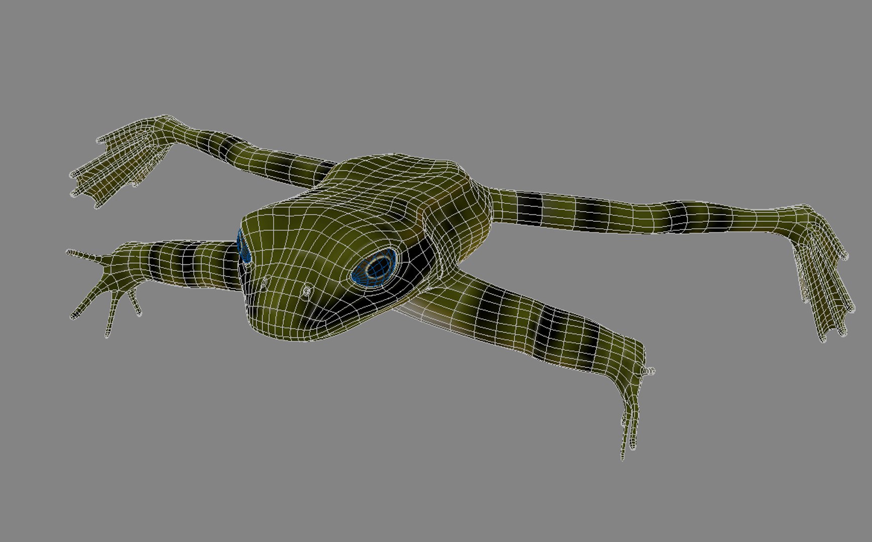 3d model frog amphibian