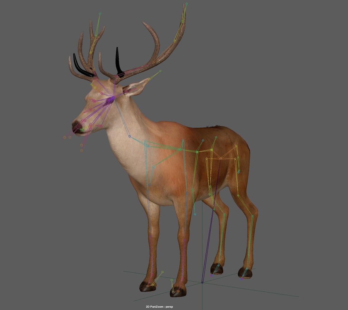Deer Rigged 3D Model - TurboSquid 1867450