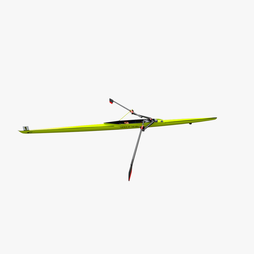 Single Rowing Sculls C4d
