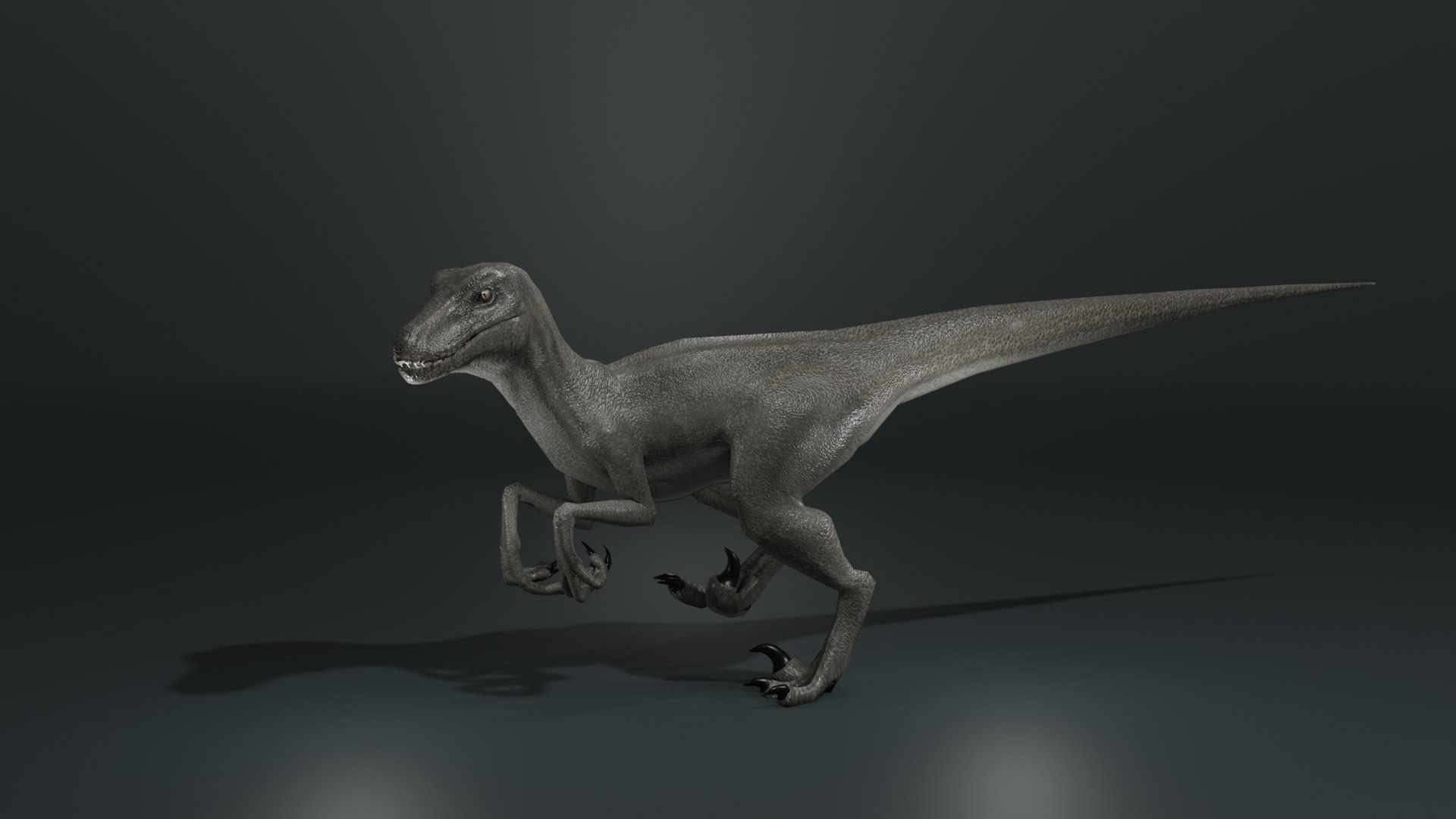 3D Model Raptor - TurboSquid 2310028