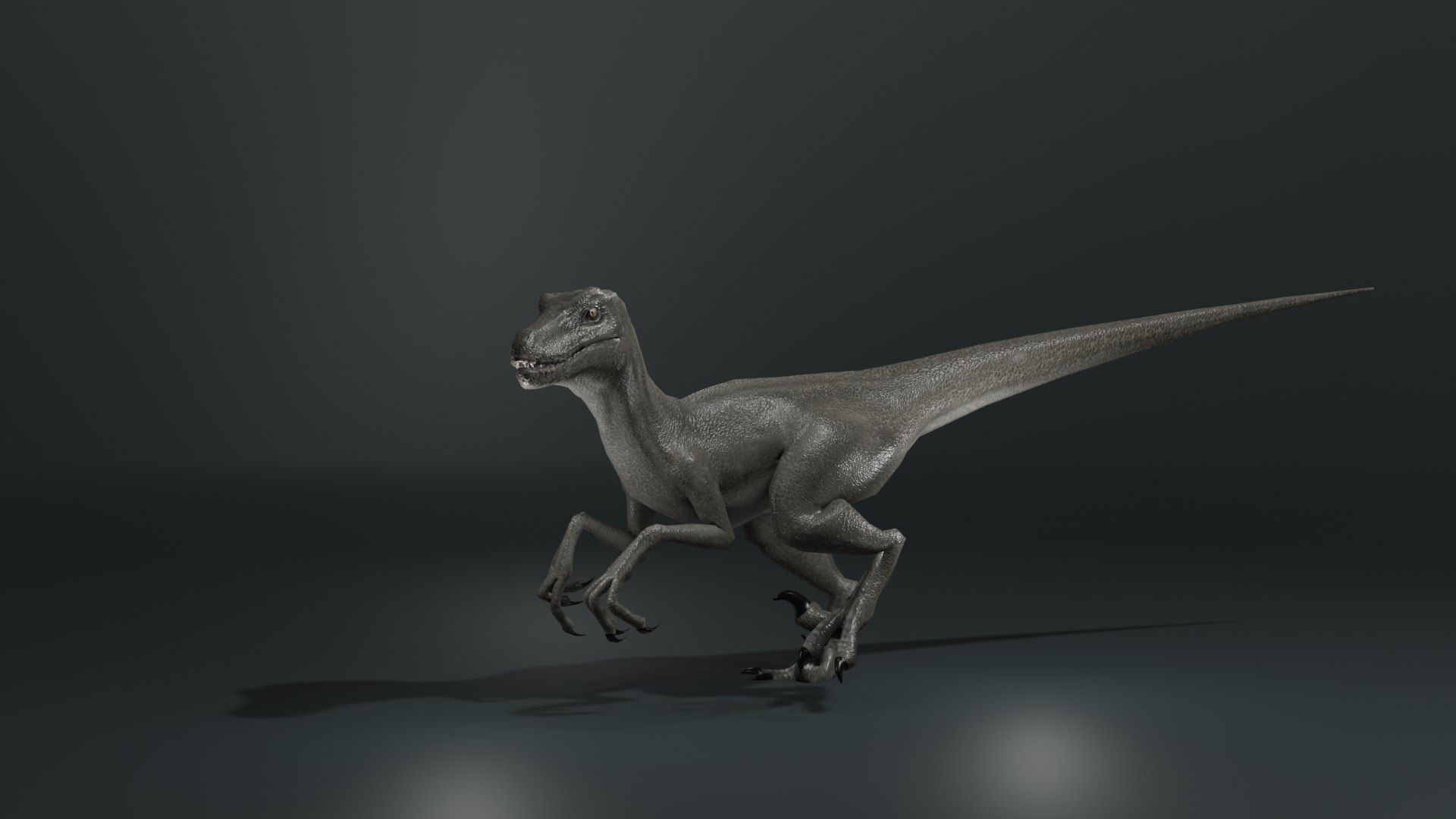3D Model Raptor - TurboSquid 2310028