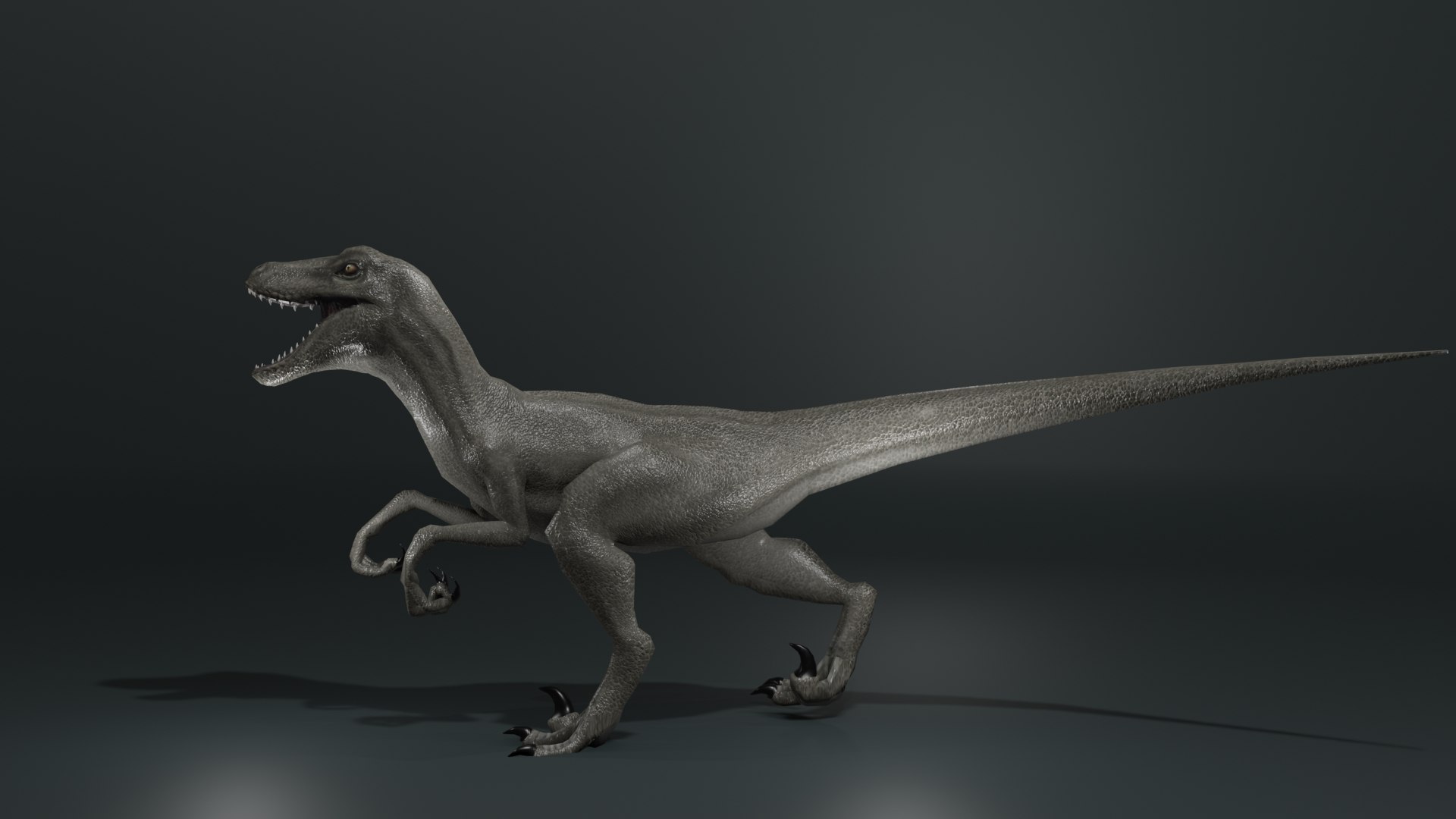 3D Model Raptor - TurboSquid 2310028