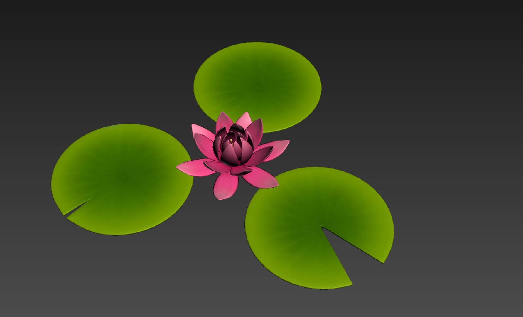 Water Lilly Cartoon 3D Model - TurboSquid 1360712