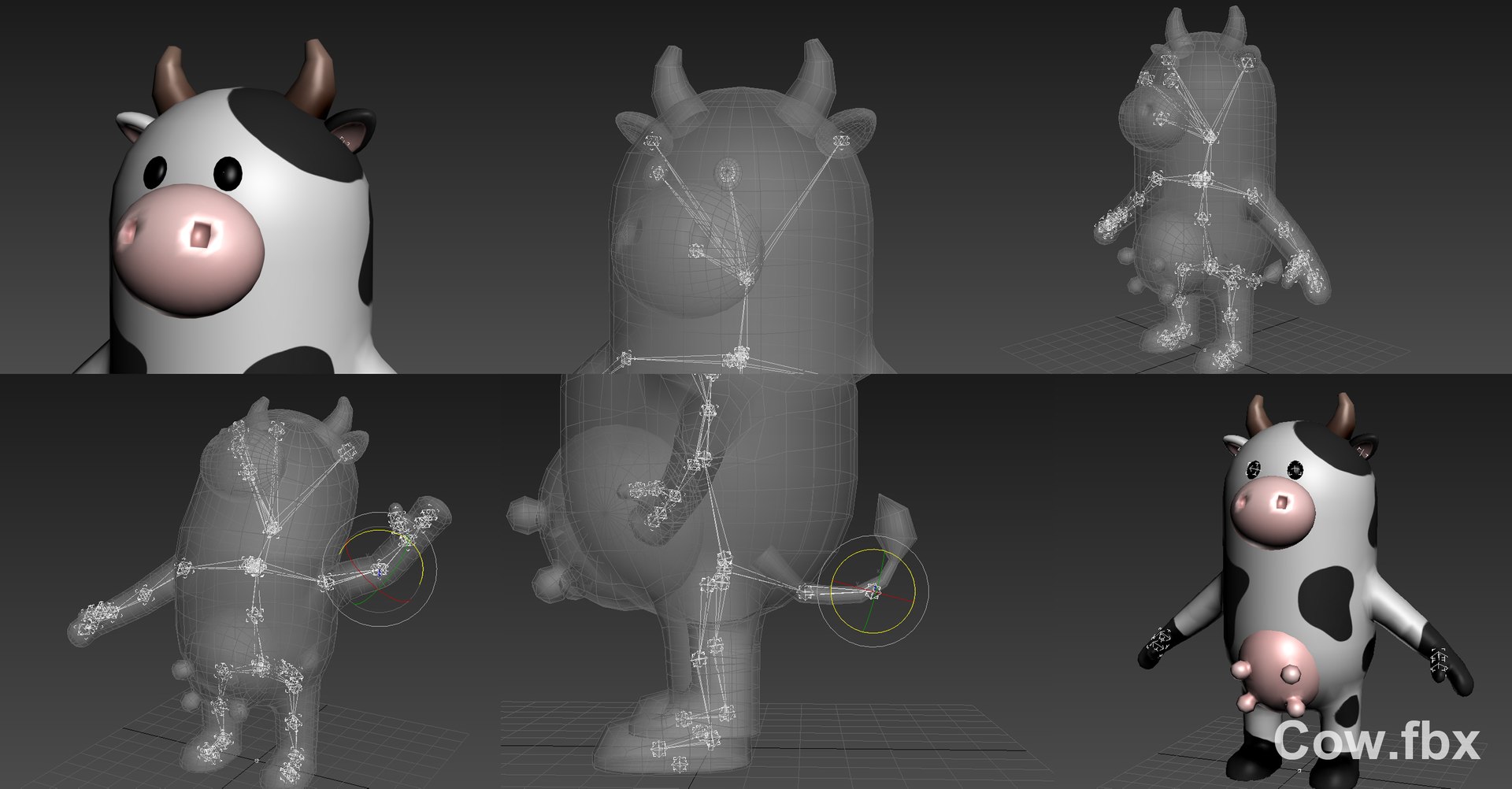 Cartoon animal pack rigged model - TurboSquid 1259993