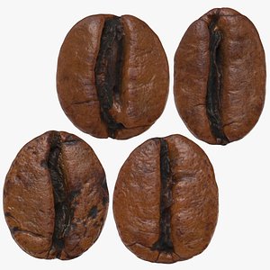 3D Coffee Bean Models - Browse & Download Formats - TurboSquid