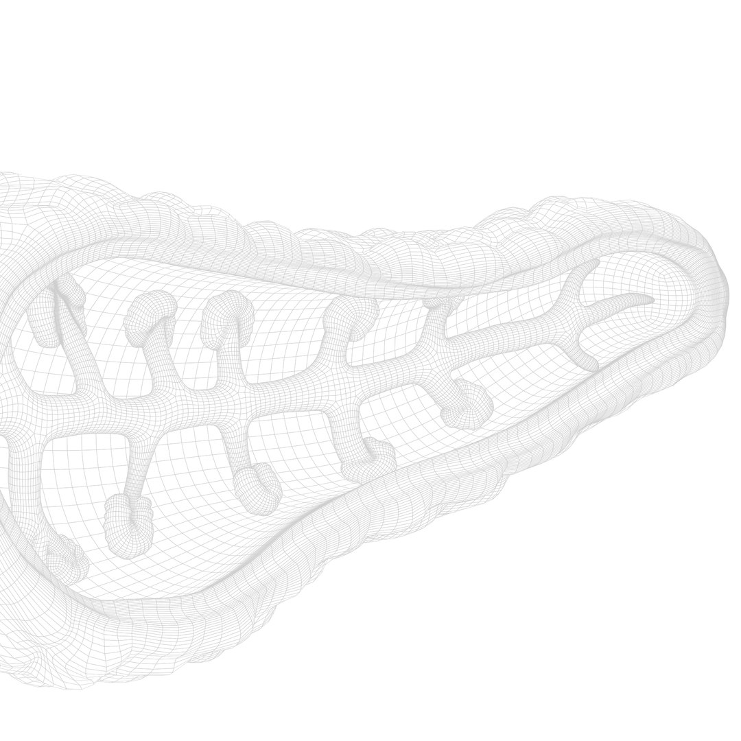 Human Pancreas Anatomy 3D Model - TurboSquid 1841929