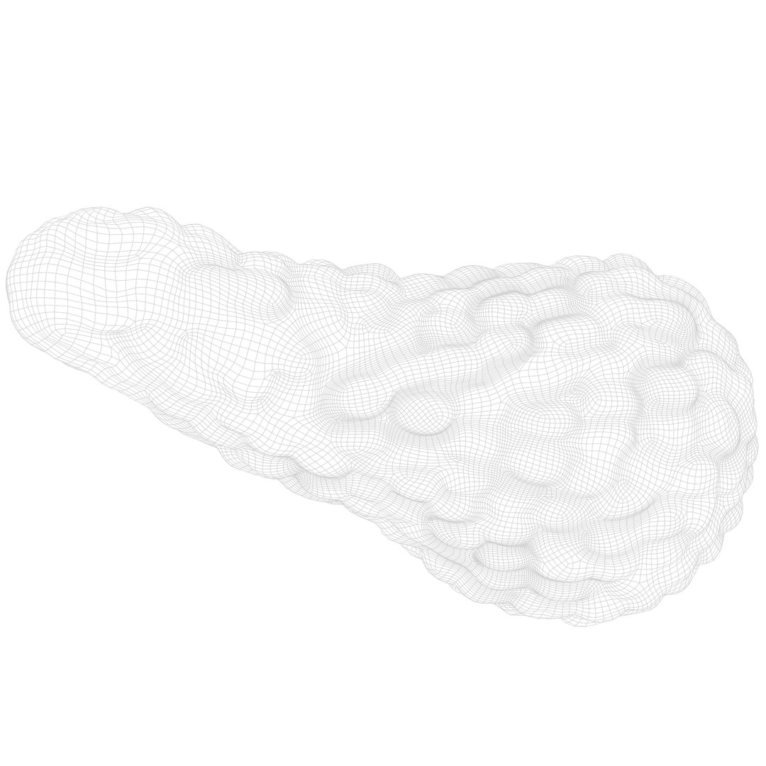 Human Pancreas Anatomy 3D Model - TurboSquid 1841929