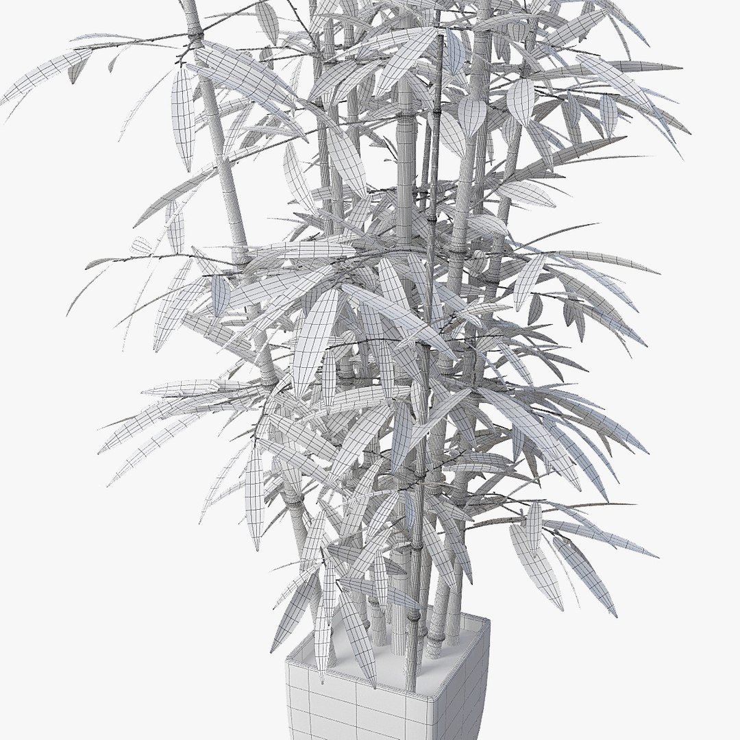 3d model of bamboo