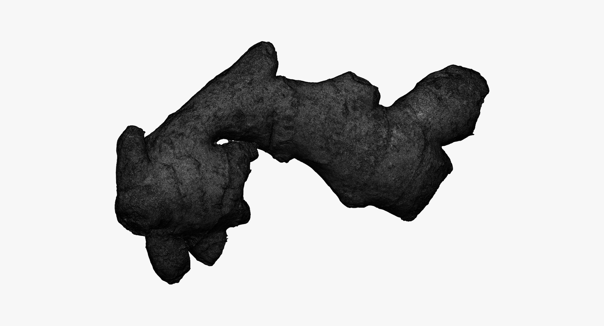 3D Ginger Root 04 Raw - TurboSquid 1550270