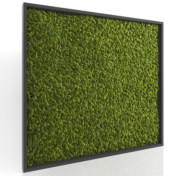moss wall multiscatter scattering 3d model