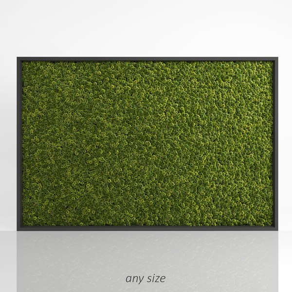 moss wall multiscatter scattering 3d model