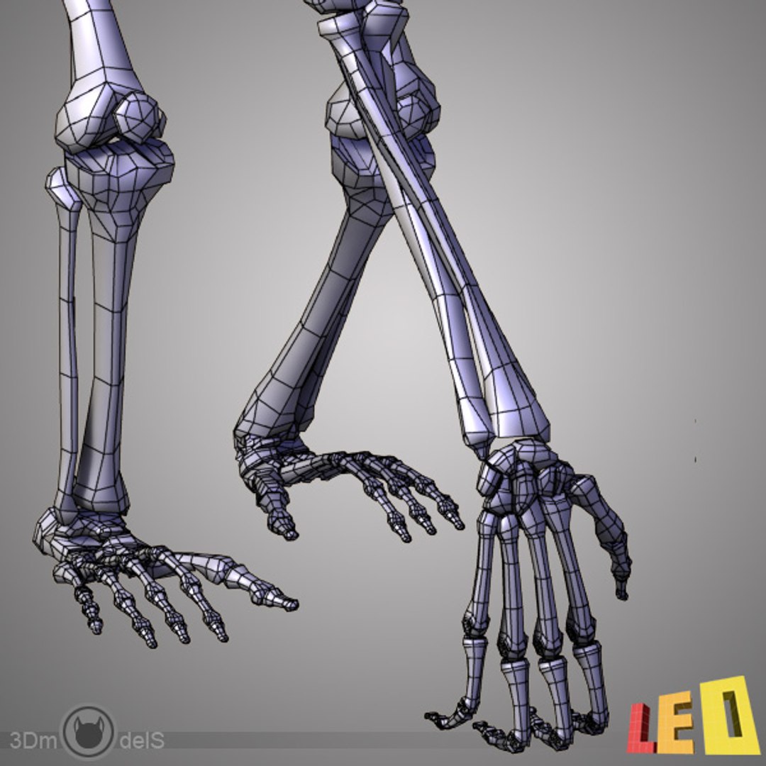 Max Chimp Skeleton Bones