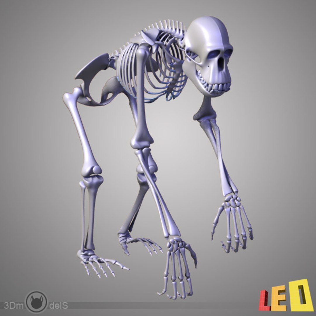 Max Chimp Skeleton Bones