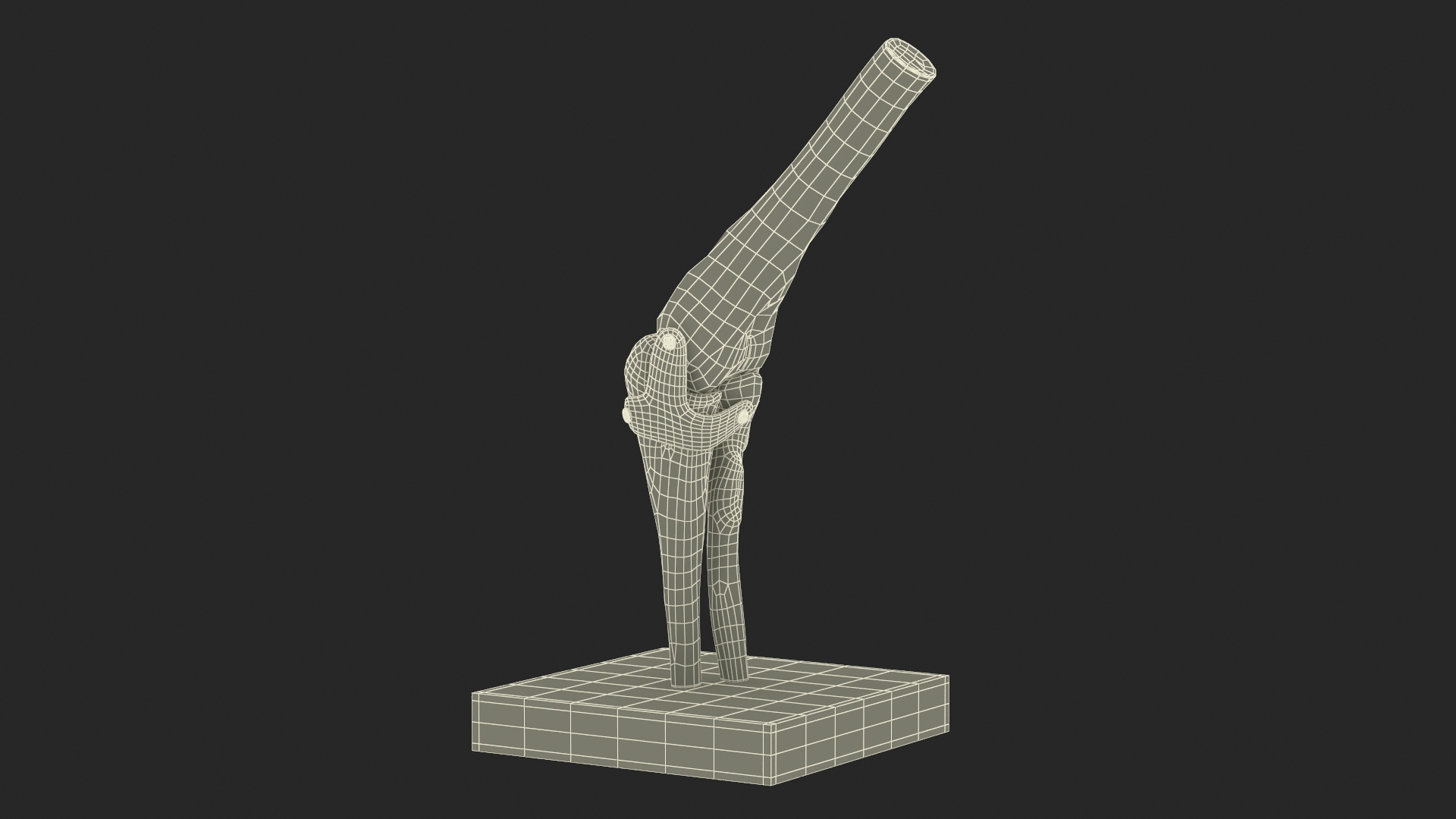 Elbow Joint 3D Model - TurboSquid 2287591