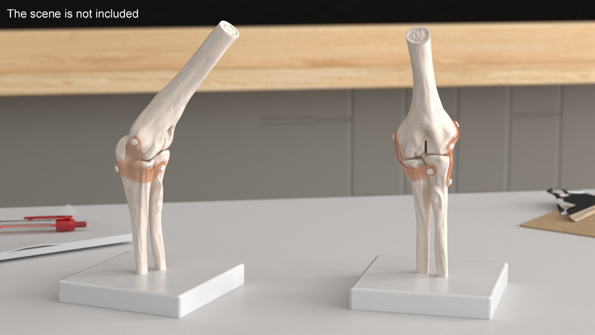 Elbow Joint 3D Model - TurboSquid 2287591