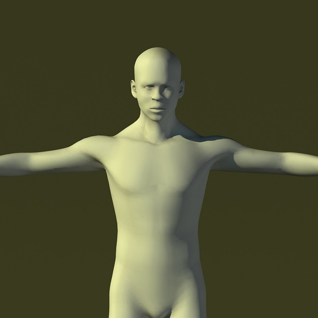 Human Male 3d Model