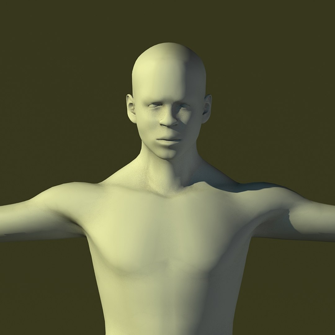 Human Male 3d Model