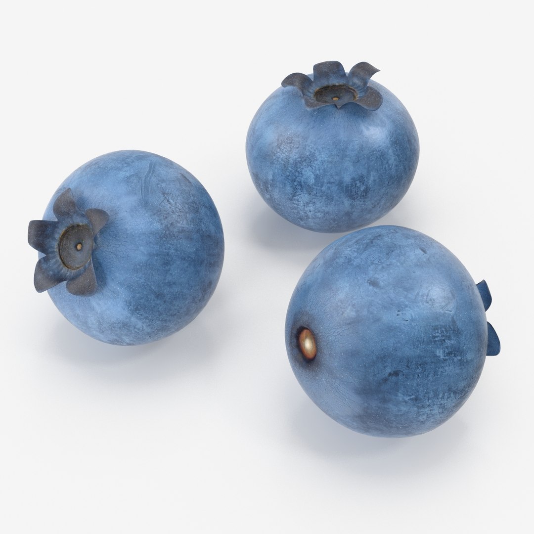 Blueberry Berry Blue 3d Model