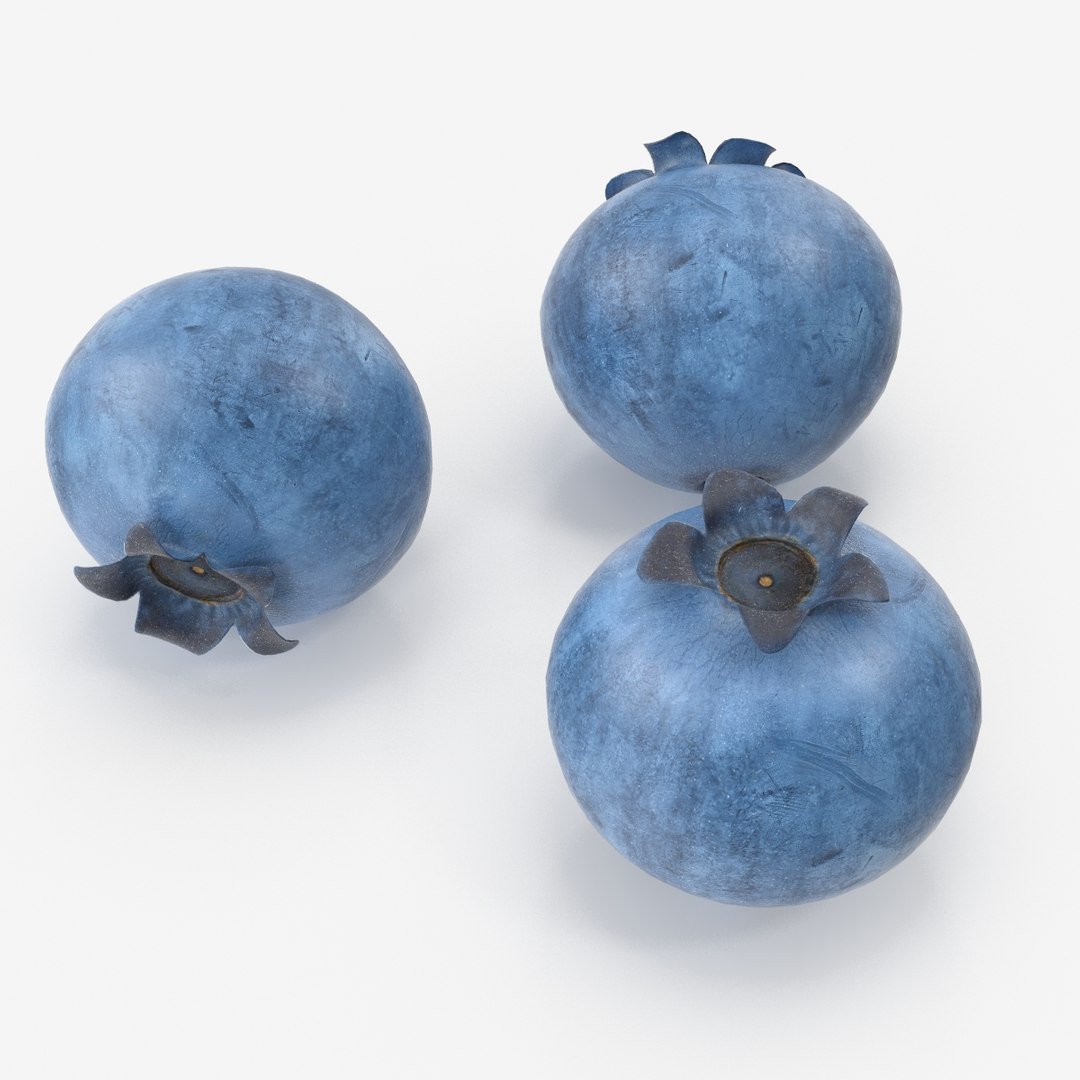Blueberry Berry Blue 3d Model
