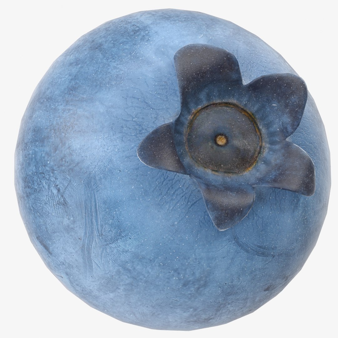 Blueberry Berry Blue 3d Model
