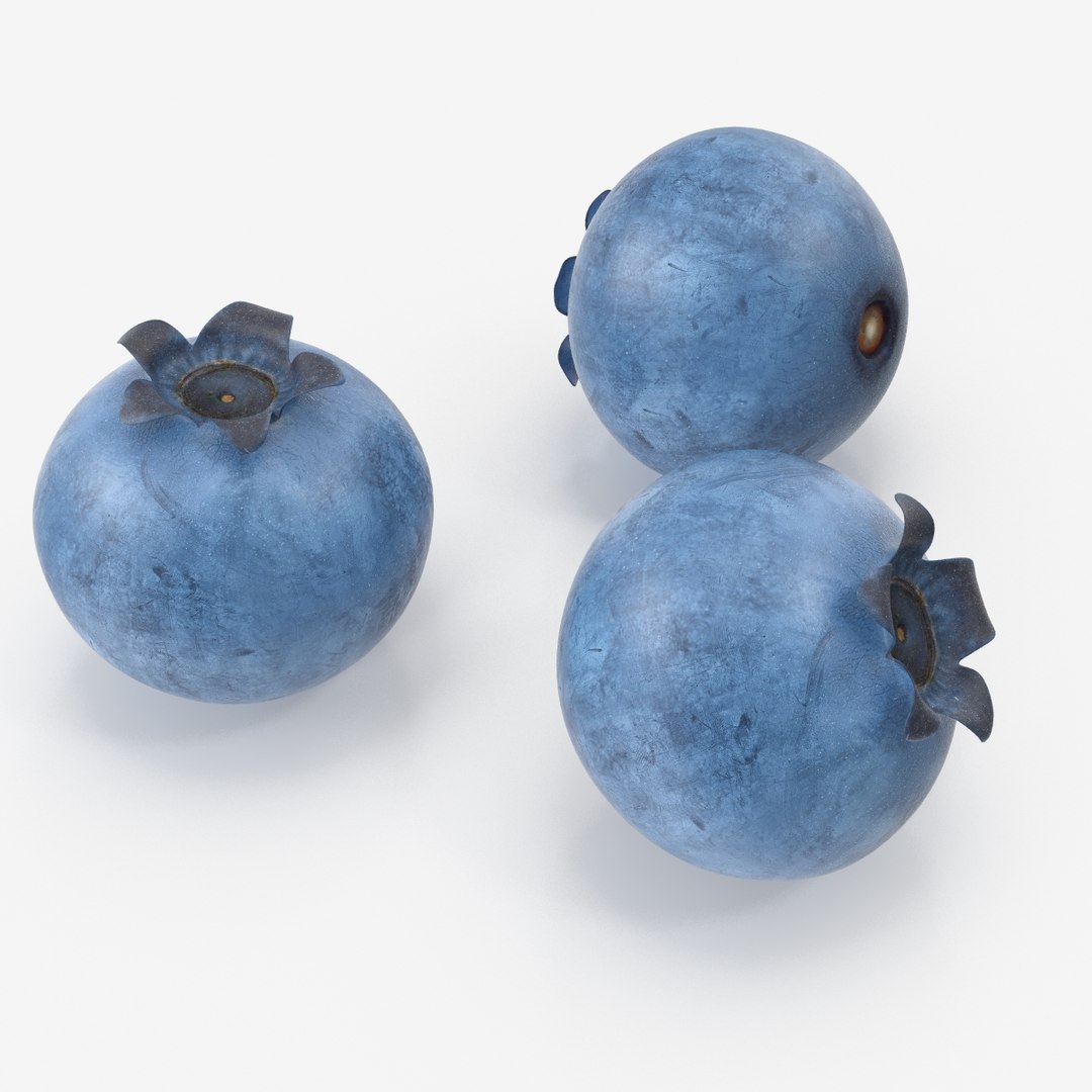 Blueberry Berry Blue 3d Model
