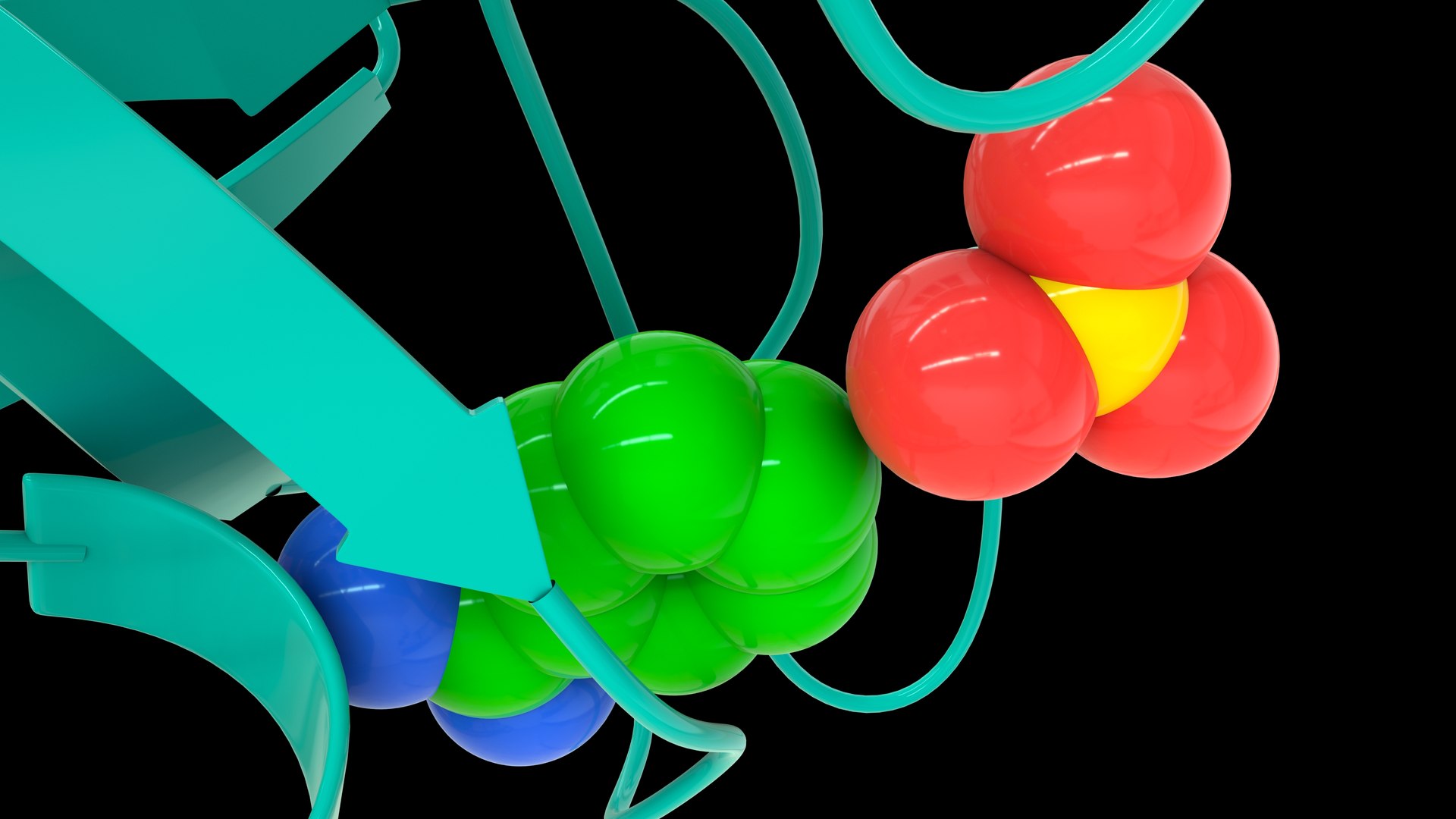 Trypsin Enzyme 3D Model - TurboSquid 2189594
