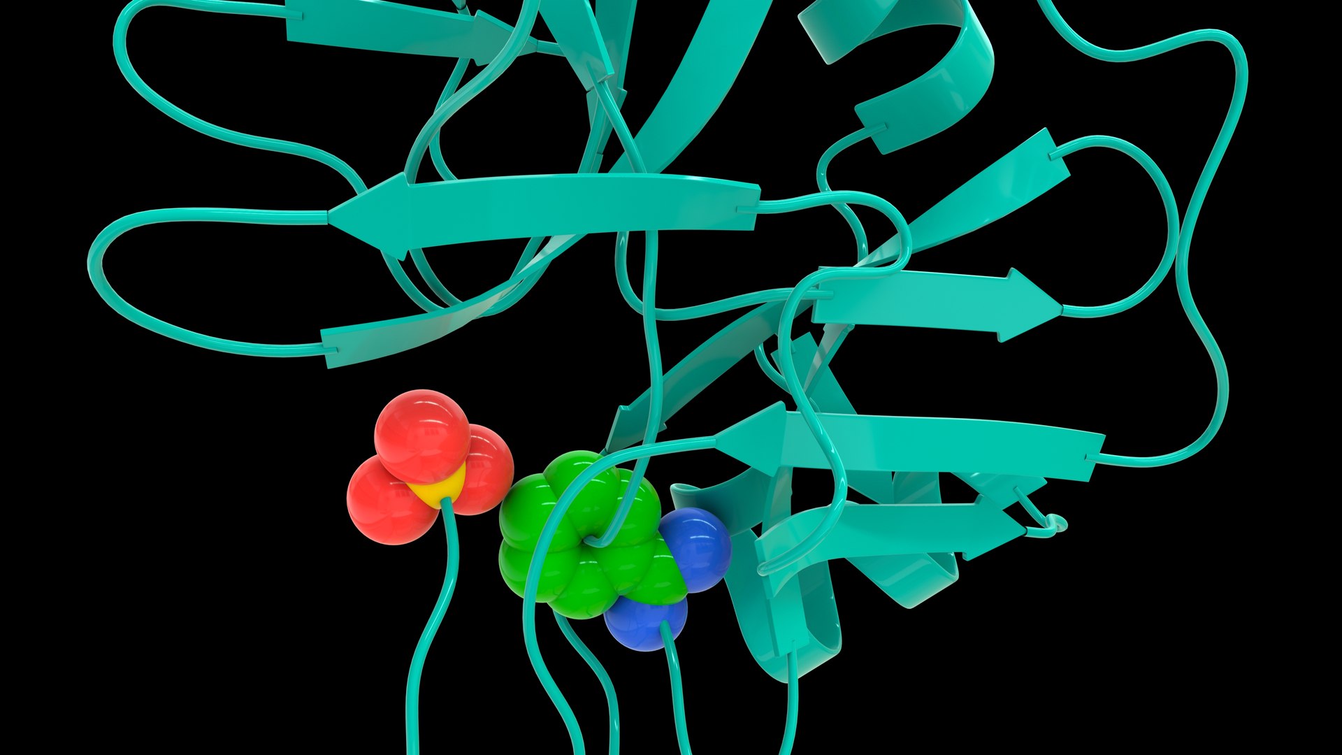 Trypsin Enzyme 3D Model - TurboSquid 2189594