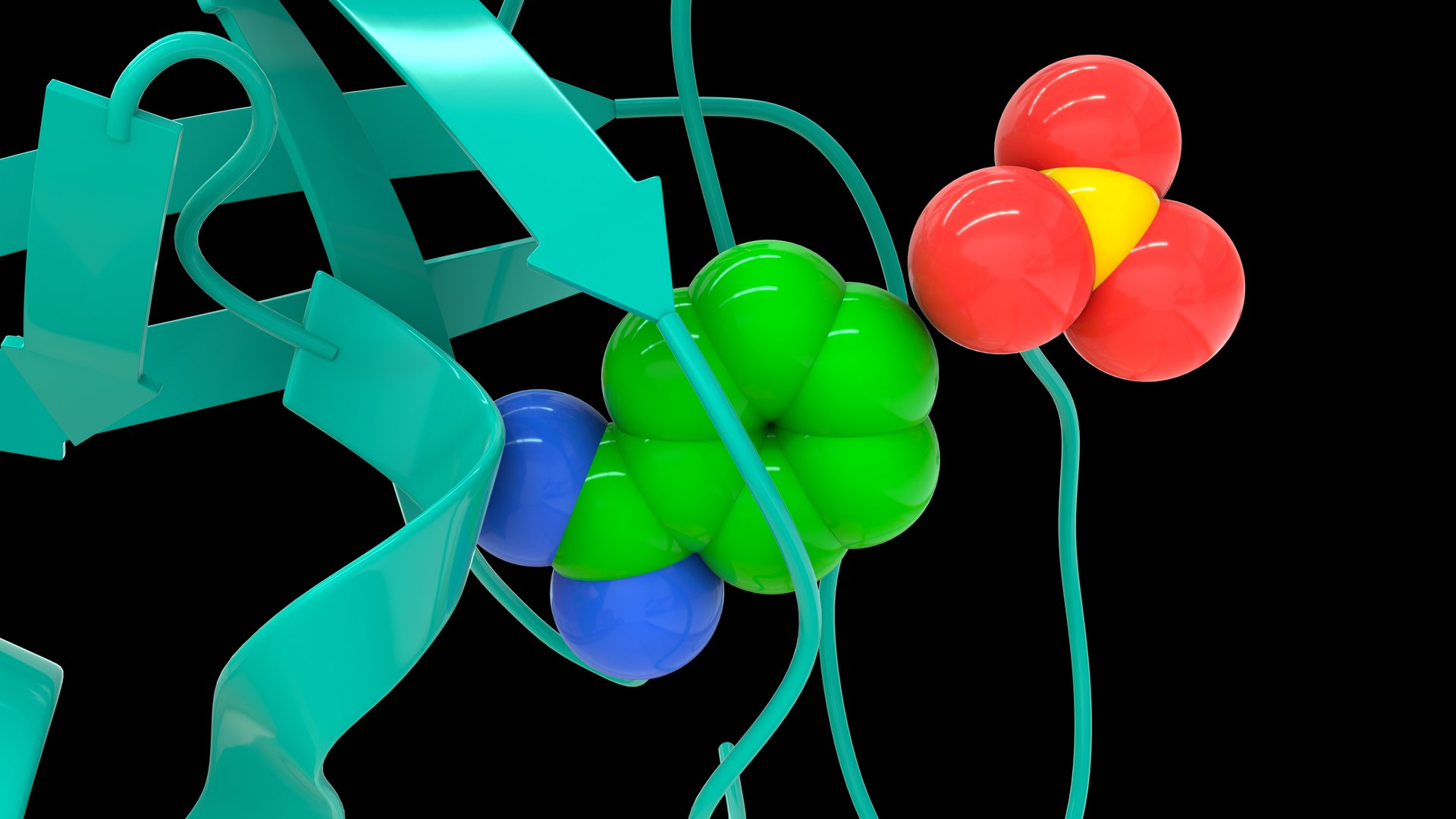 Trypsin Enzyme 3D Model - TurboSquid 2189594