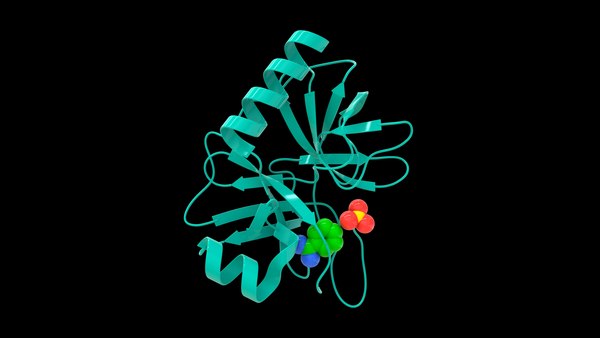 Enzyme 3D Models for Download | TurboSquid