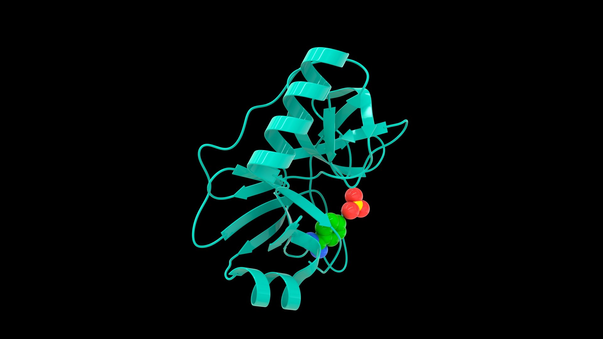Trypsin Enzyme 3D Model - TurboSquid 2189594