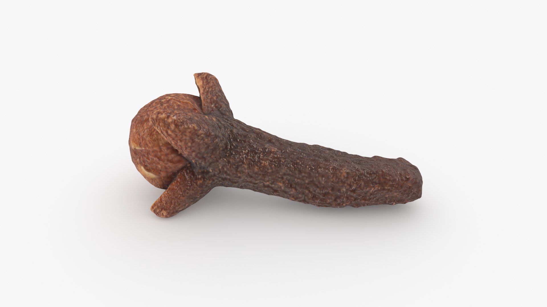 Clove 02 3D Model - TurboSquid 2317563