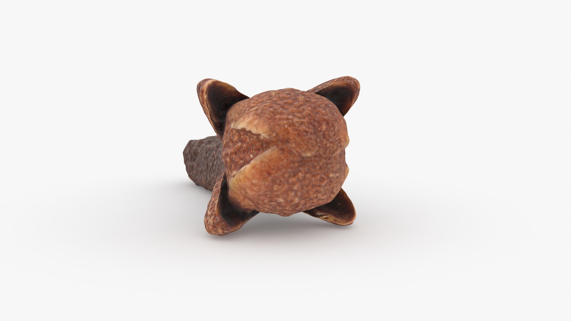 Clove 02 3D Model - TurboSquid 2317563