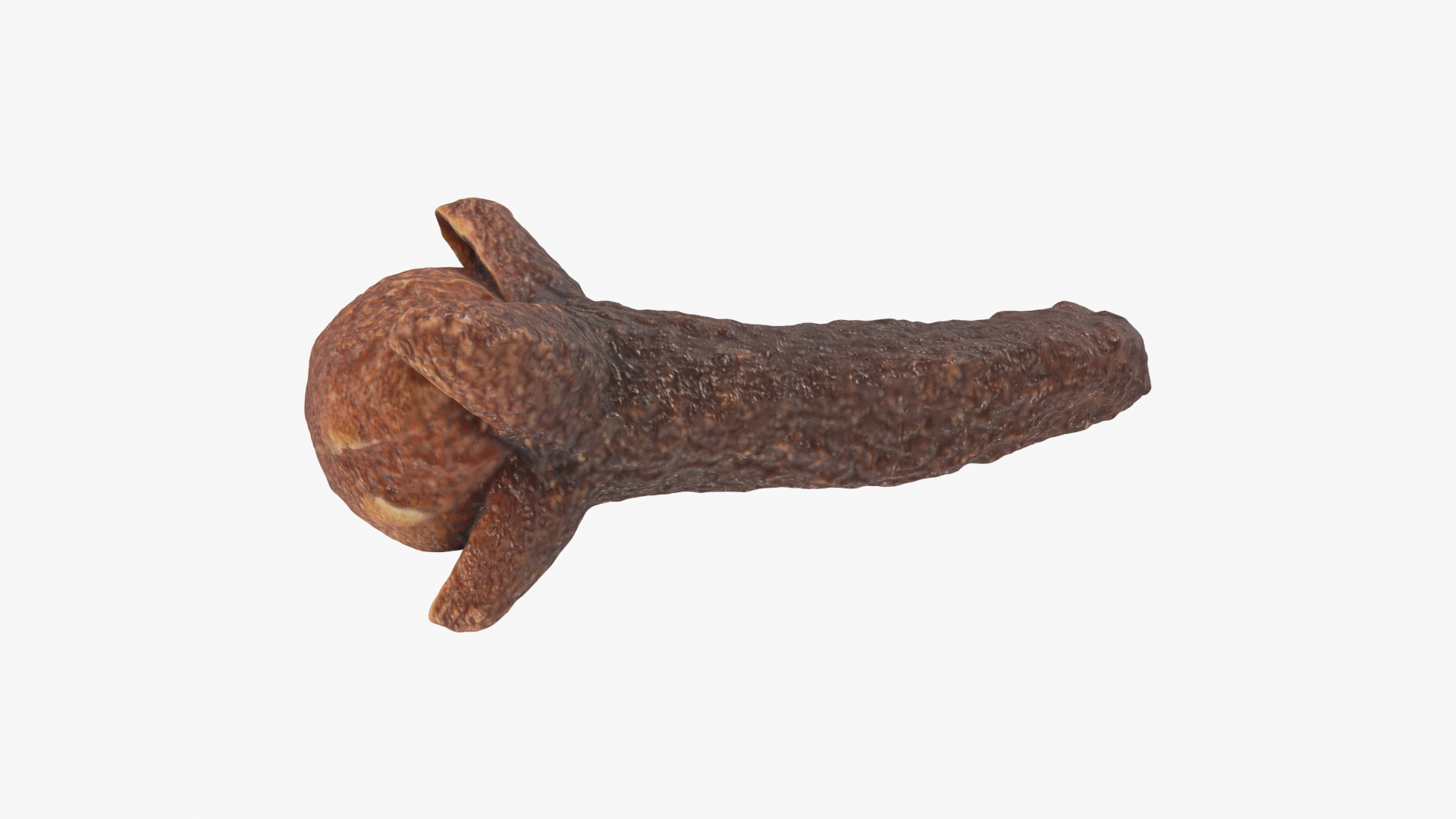 Clove 02 3D Model - TurboSquid 2317563