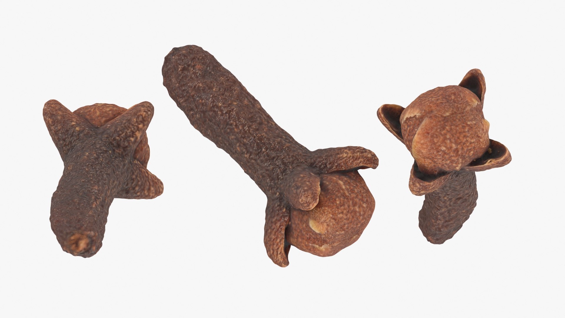 Clove 02 3D Model - TurboSquid 2317563