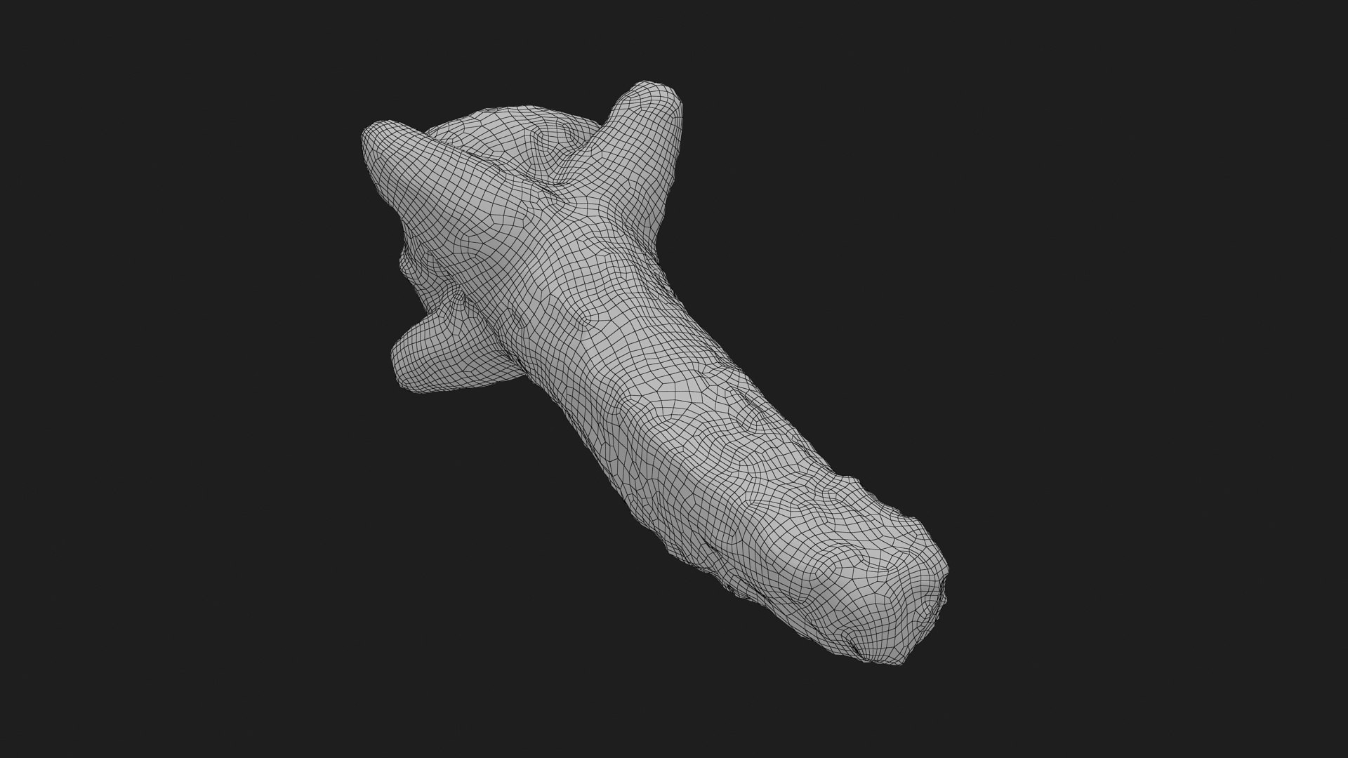 Clove 02 3D Model - TurboSquid 2317563