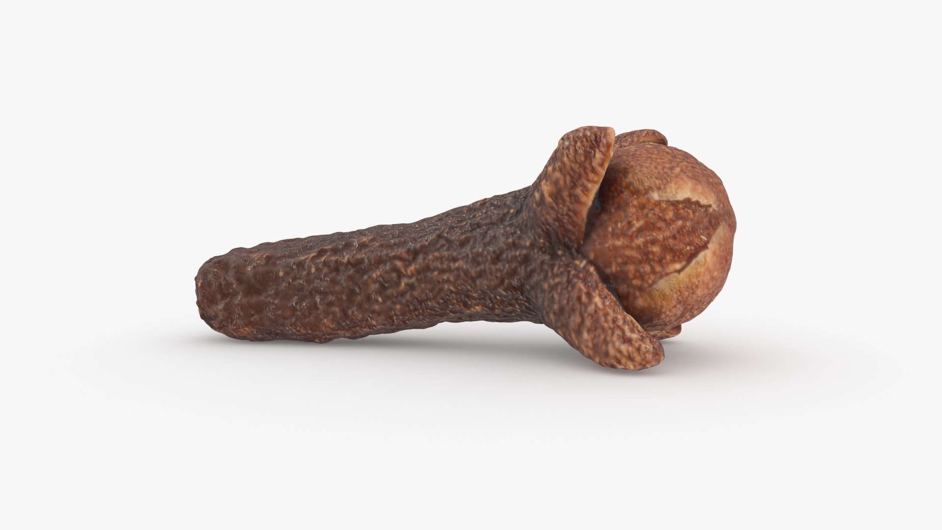 Clove 02 3D Model - TurboSquid 2317563