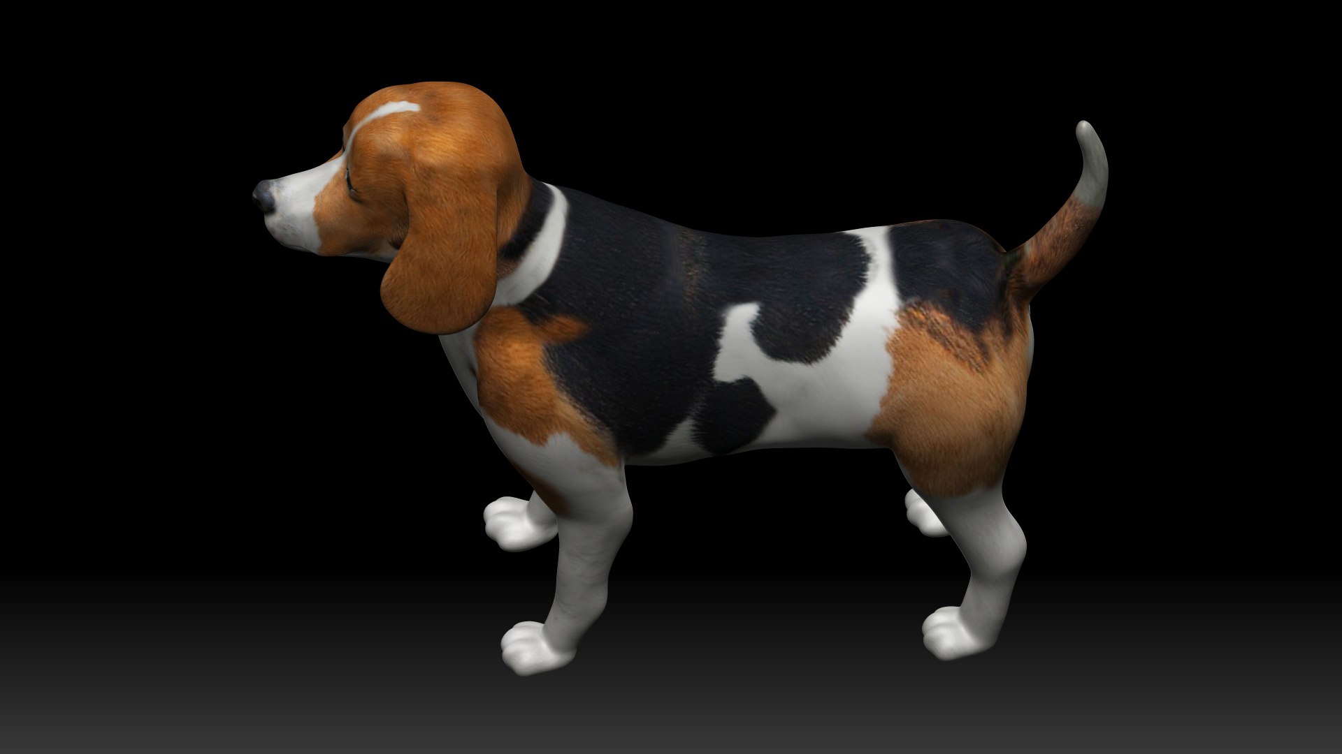 Fully Rigged Low Poly Beagle Model - TurboSquid 1738596