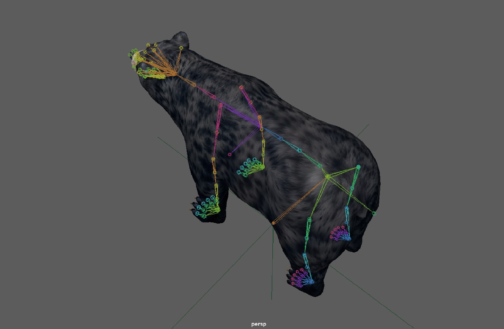 Black Bear Rig Model - TurboSquid 2318265