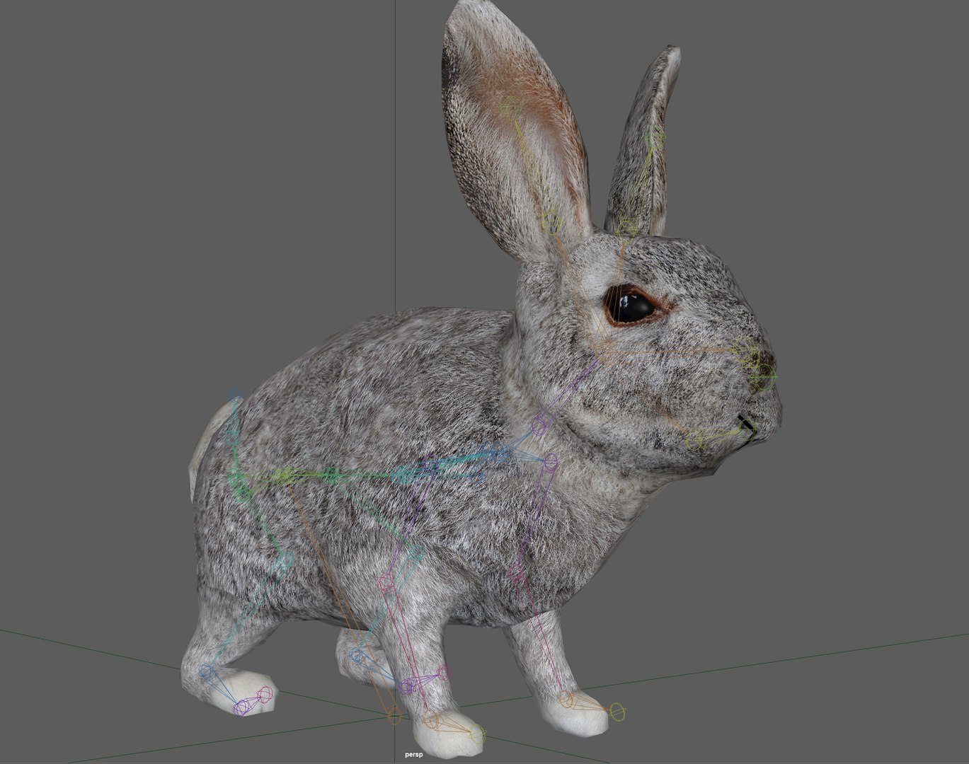 3D Model Rabbit Rigged - TurboSquid 1908529