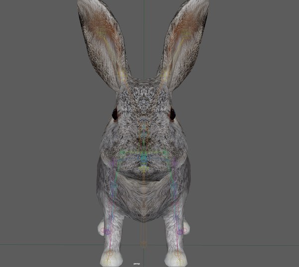 3D model Rabbit Rigged - TurboSquid 1908529