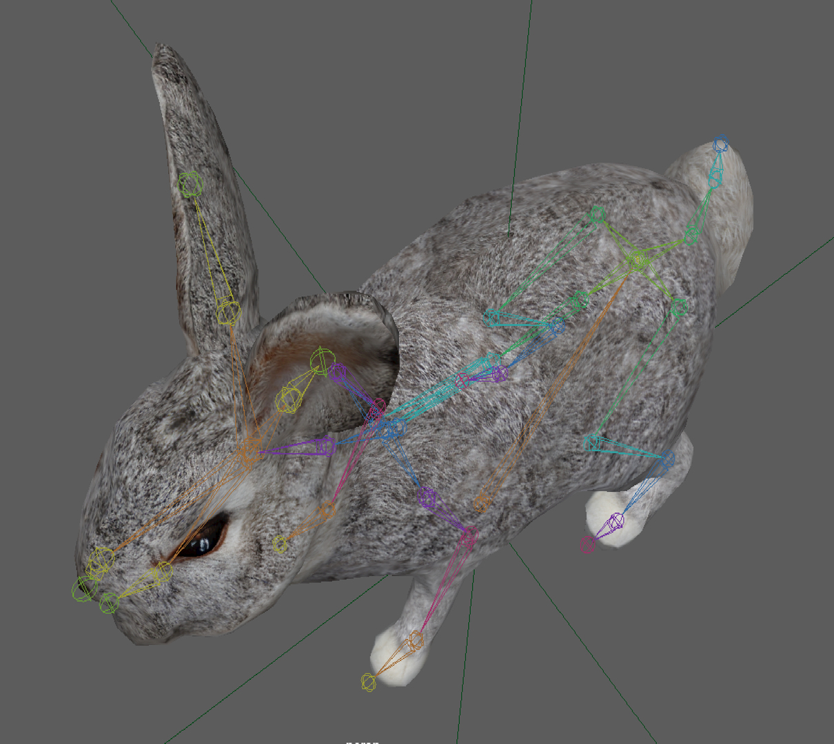 3D model Rabbit Rigged - TurboSquid 1908529