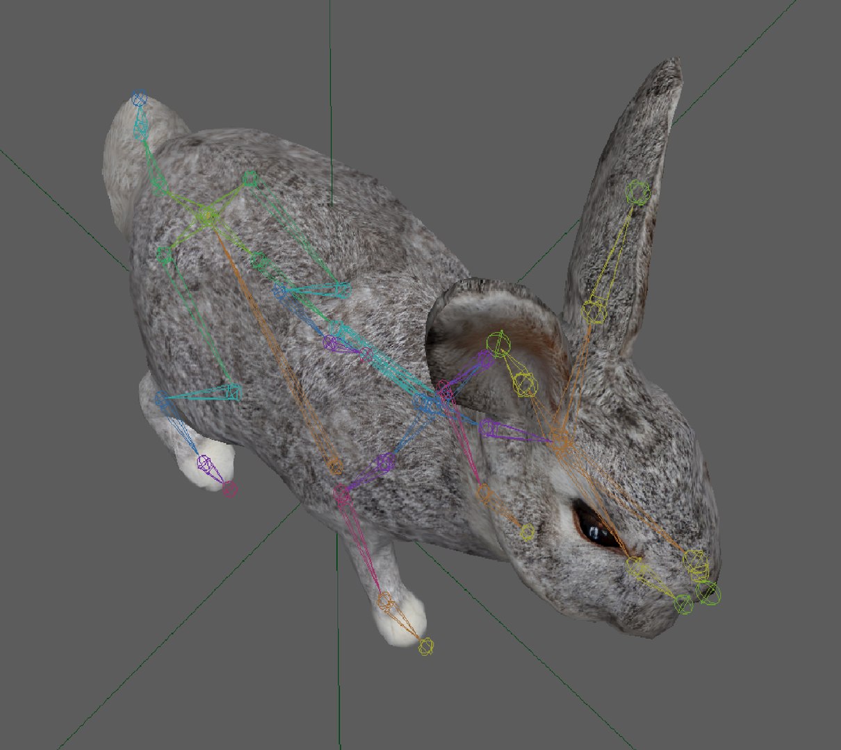 3D Model Rabbit Rigged - TurboSquid 1908529