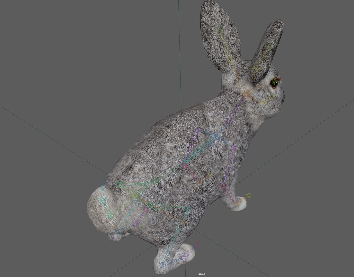 3D Model Rabbit Rigged - TurboSquid 1908529